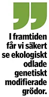 GMO eller ekologiskt? Eller bådadera samtidigt?