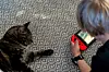 Spelbjässen Nintendo höjer priset på Switch 2 – trots vinstlyft