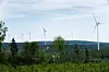 Fortsatt ras för vindkraften